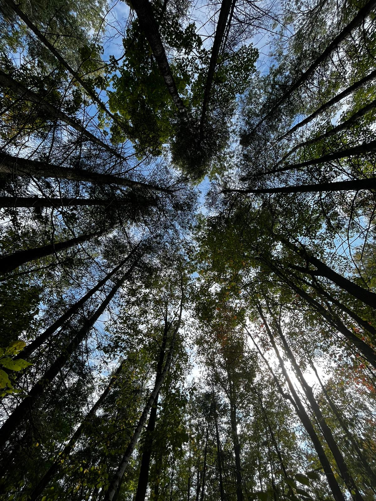 wanderings. – Ravenworks Studio